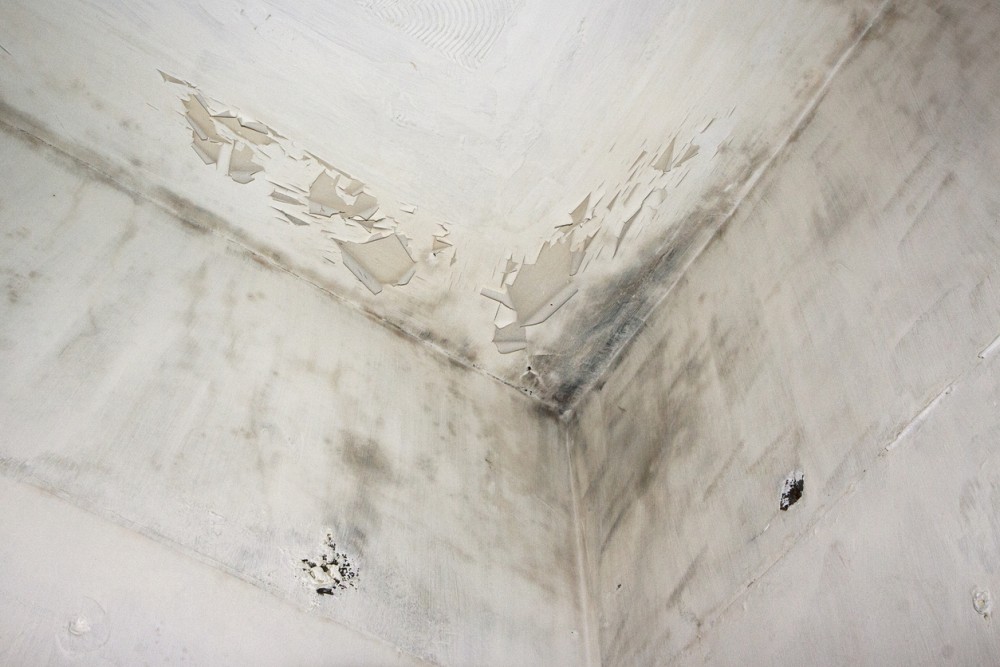 Anatomy of Emergency Property Restoration Services & What Happens After ...